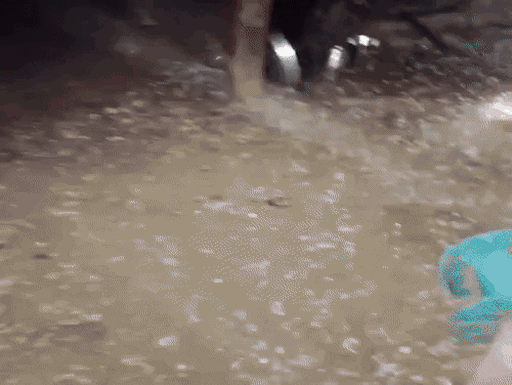 Hailstorm in Bikaner & heavy rain lashes Chittorgarh-Sikar: Jaipur sees ...