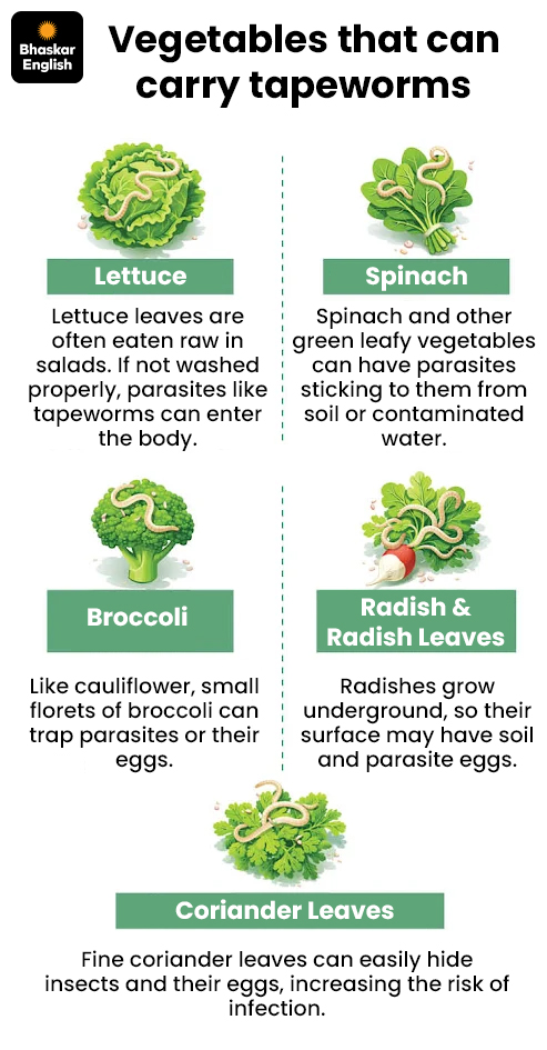 Tapeworm in cabbage kills 18-year-old student in UP: 20-25 cysts found ...