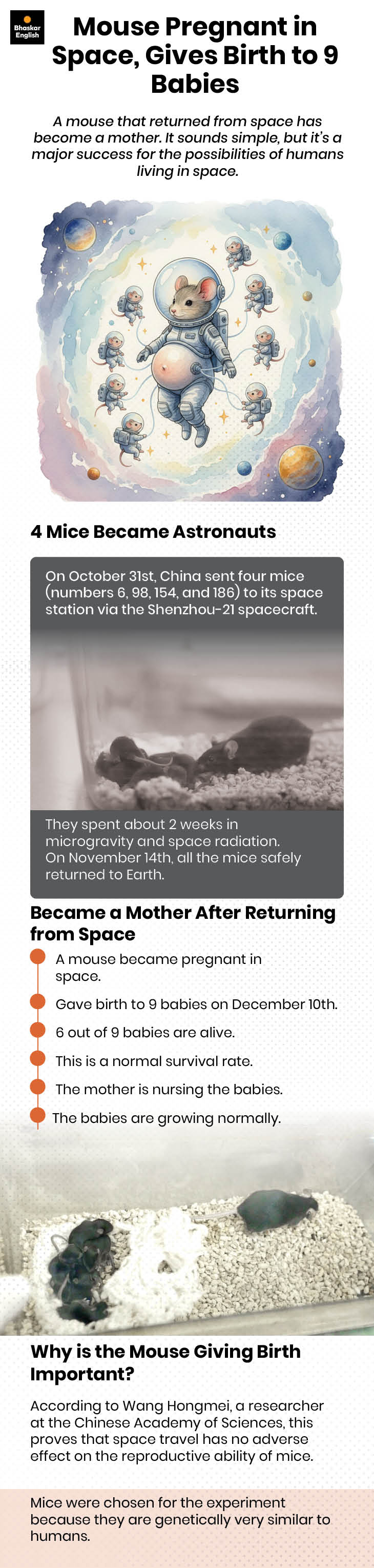 Government job for imitating langur sound; Mouse gets pregnant in space ...