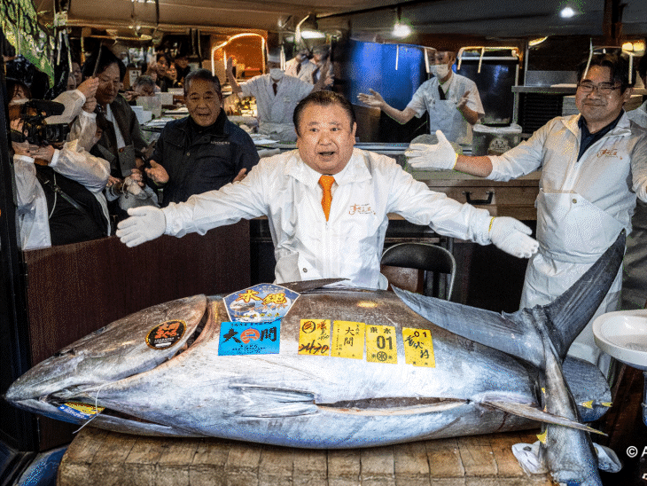 Bluefin Tuna World Expensive Fish | Buyer Tuna King Photos; Japan New ...