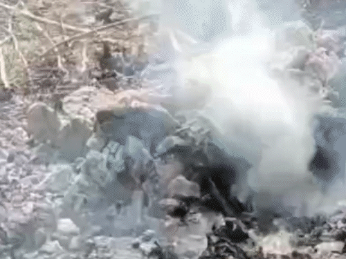 Girl who eloped with lover beaten to death in Kasganj Parents flee ...