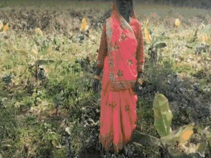 Women farmers of Gosi village pioneer profitable intercropping model ...