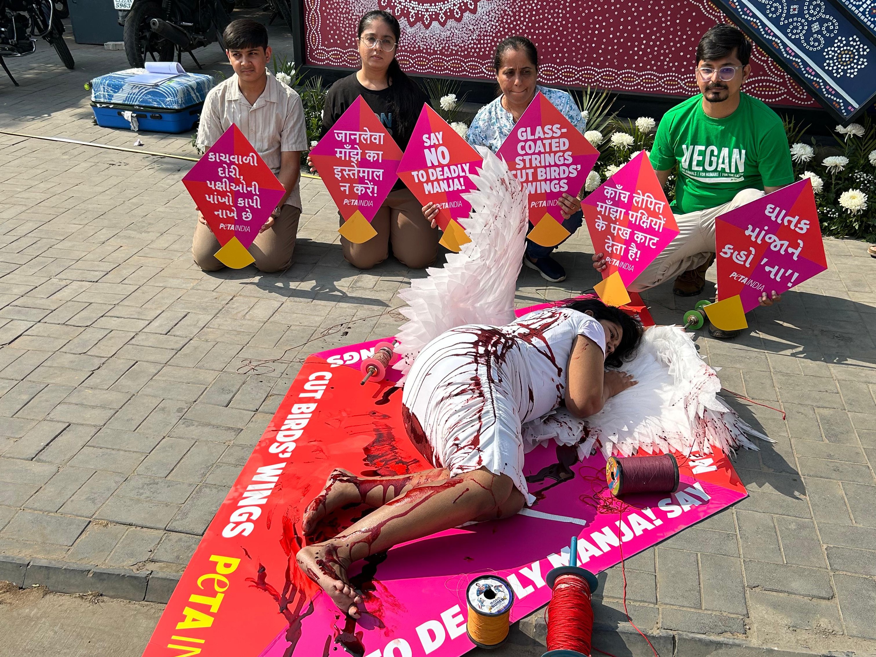 PETA Protest Ahmedabad Flags Bird Injuries from Manja Organisation ...