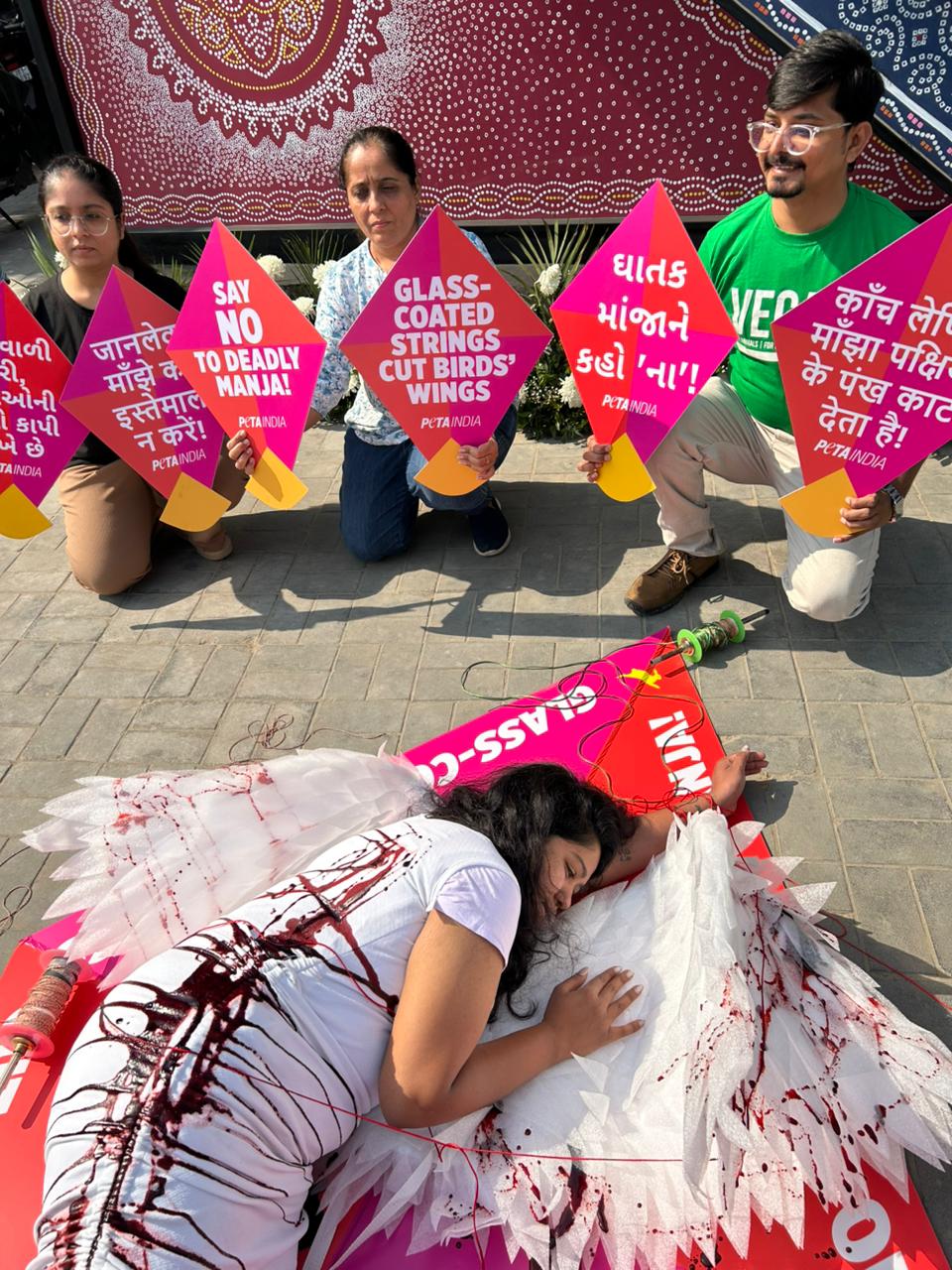 PETA Protest Ahmedabad Flags Bird Injuries from Manja Organisation ...