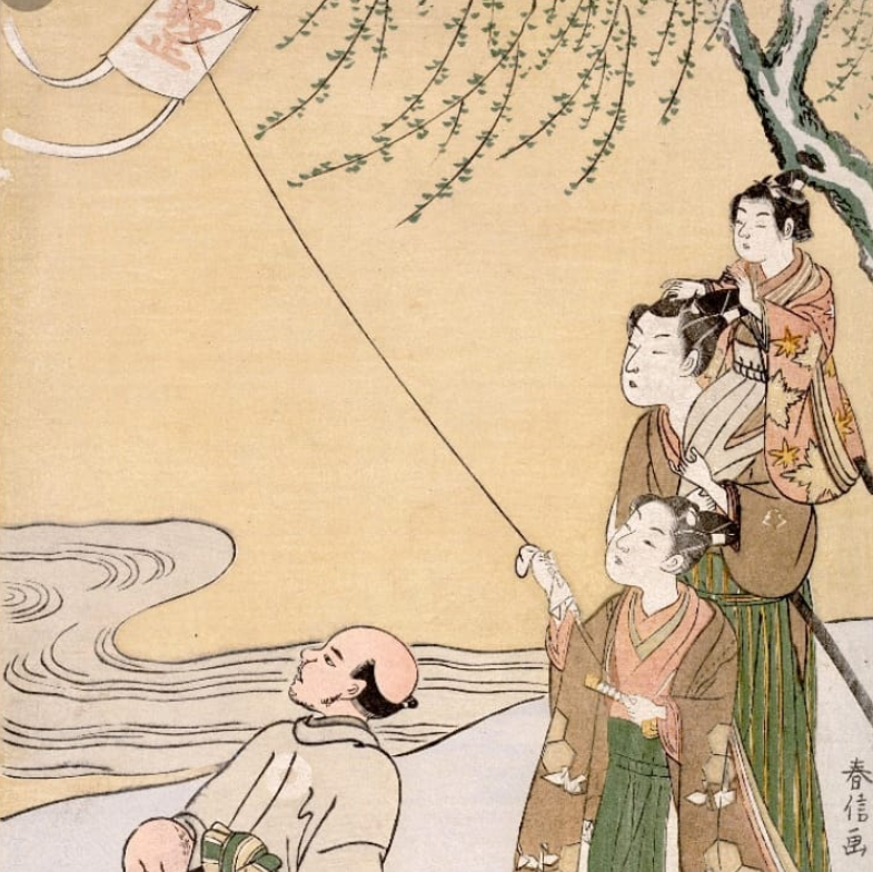Kites: From Wright Brothers Inspiration to Indian Skies Danger