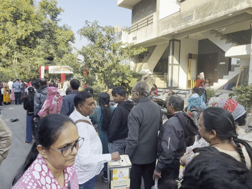 Gujarat Crowds Offer Live Crabs to Lord Shiva for Ear Problems in Surat ...