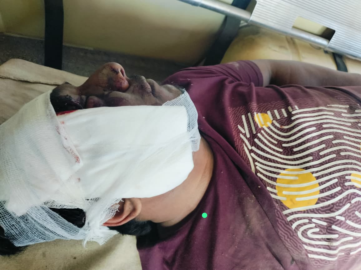 Gujarat Uttarayan: Human Injuries Surge 33% | Animal Rescue Calls High