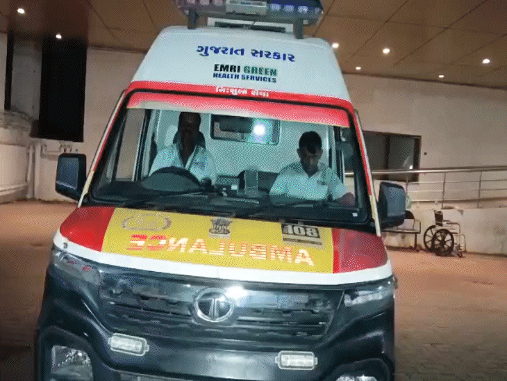 Gujarat Uttarayan: Human Injuries Surge 33% | Animal Rescue Calls High