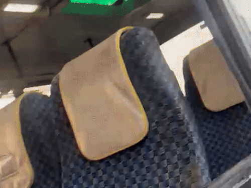 Bus Truck Crash Nuh Expressway | 2 Dead