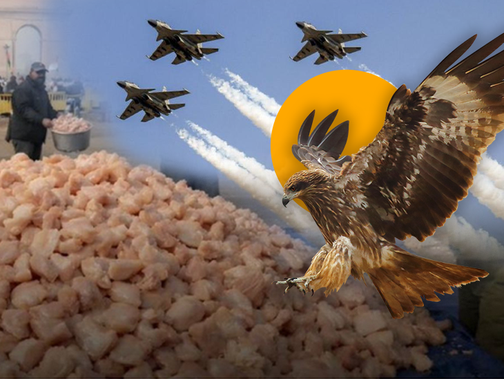 Delhi Forest Dept Uses Chicken for Republic Day Airshow Clearance