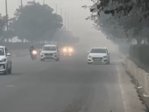 Muzaffarnagar Coldest at 7.1°C | Mustard, Potato Crops at Risk; UP Rain ...