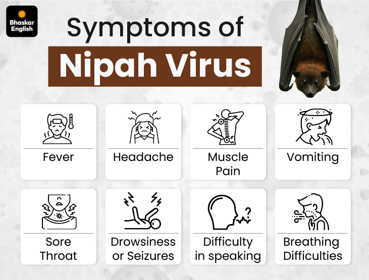 Nipah Virus West Bengal: Deadly Brain Infection Spreads in India know ...