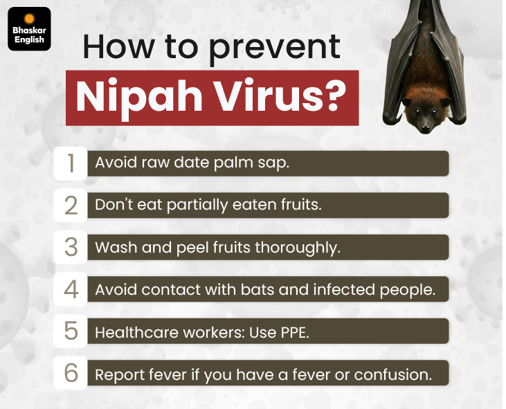 Nipah Virus West Bengal Deadly Brain Infection Spreads In India Know