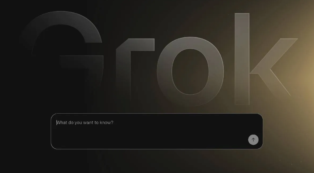 Grok Explains Camera View | Enable New AI Feature