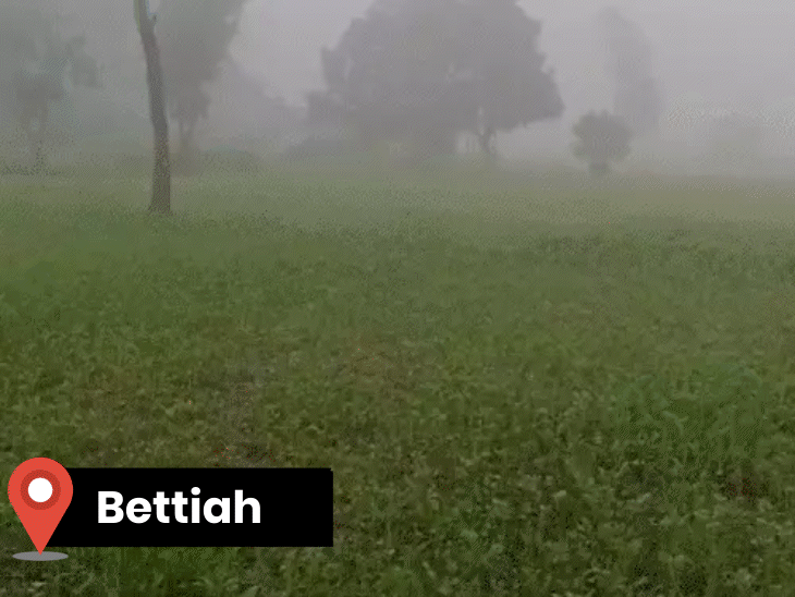 Bihar Fog: Bettiah, Bagaha Visibility Drops | Rain Alert