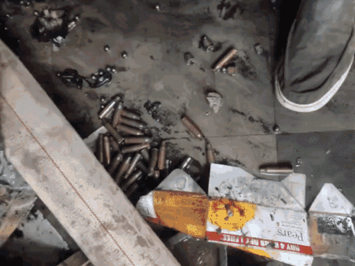 Pachmarhi Town Separation from Sanctuary; India-EU Trade Deal | MP ...