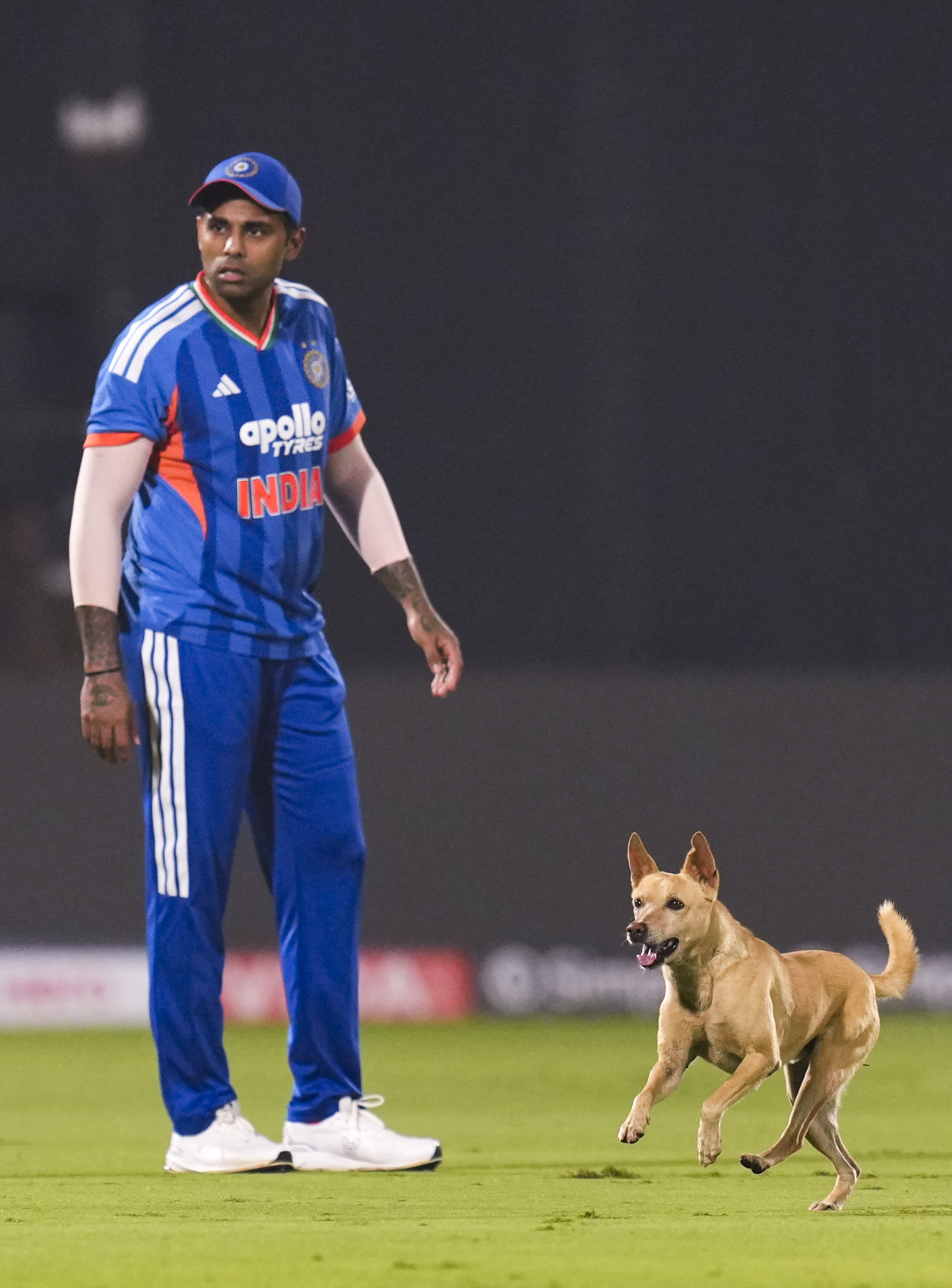 IND vs NZ 4th T20I: India vs New Zealand live score updates, commentary ...