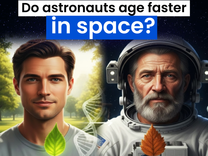 Human Body Response to Space: Study Reveals Rapid Reset