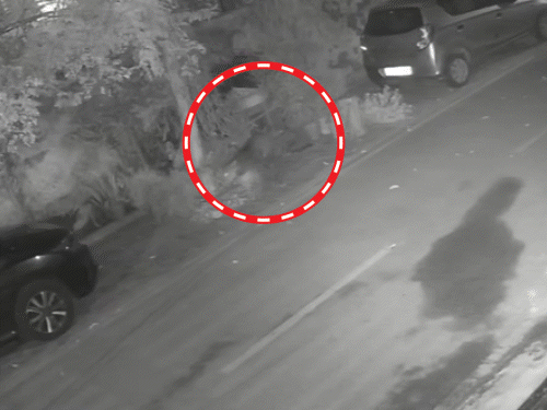 Ghaziabad School Leopard Scare; Exams Cancelled | Leopard Caught