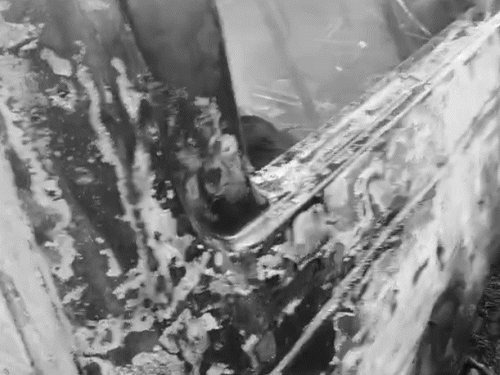 Jabalpur Fire: Man Burns Alive in Tata Sumo; Nearby Shop Gutted