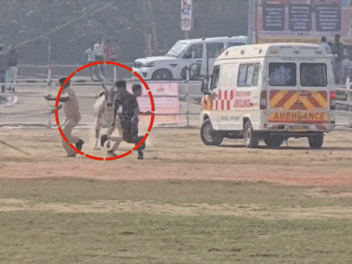 Begusarai Bull Chaos: CM Nitish Security Lapse | Helipad Intrusion