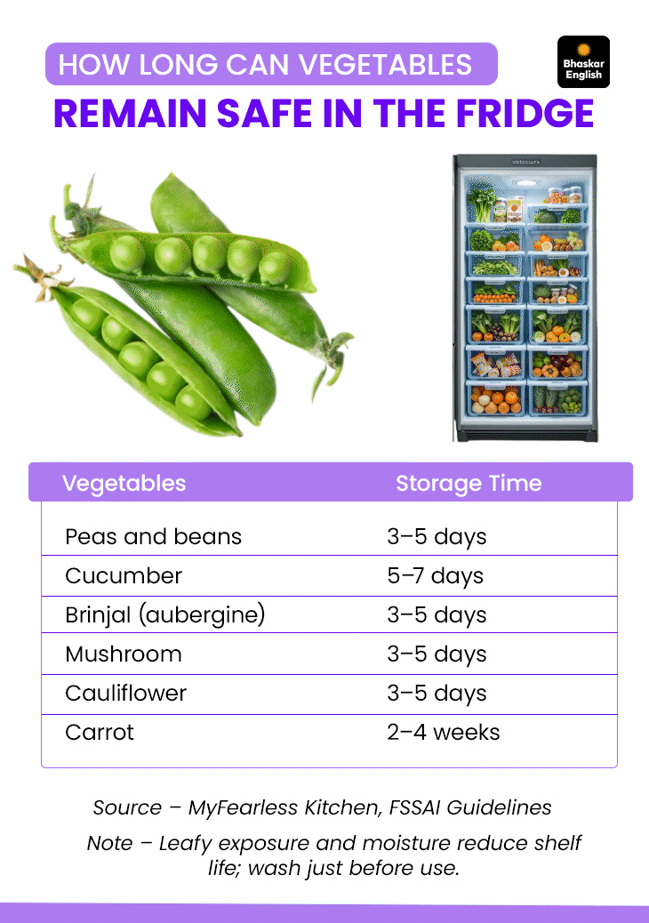 Fridge Storage Rules; Refrigerator Food Storage Time Limit Guideline ...