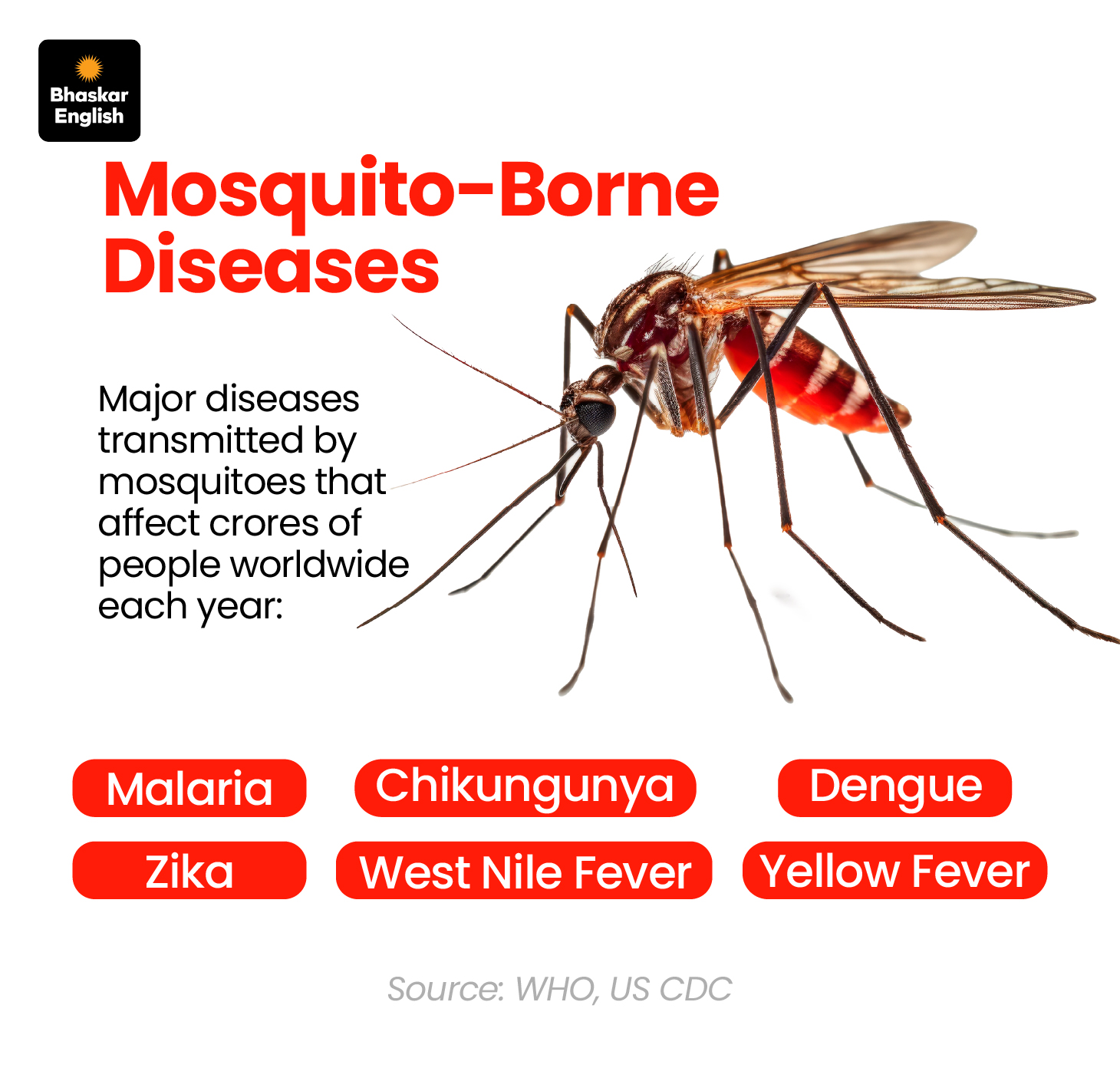 Google Mosquito Project Explained; West Nile Virus | Dengue Zika Virus ...