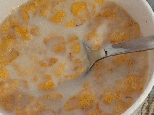 Sariska Resort Insects in Corn Flakes | Food Inspector Complaint