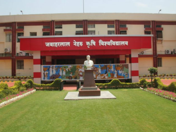 create satellite city, look at 200 acres of land in Jawaharlal Nehru ...