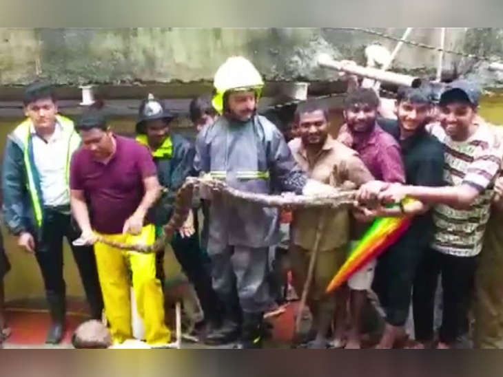 9 Feet Long Python rescued from channel in Thane | ठाणे में 8 घंटे सीवर ...