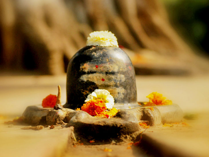 Sawan 2019: Due To Parthiv Shivling puja in Sawan Get Relief From Distress