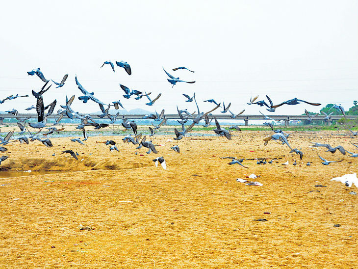 Floods in North Bihar, Drought in South Bihar | उत्तर बिहार में बाढ़ ...