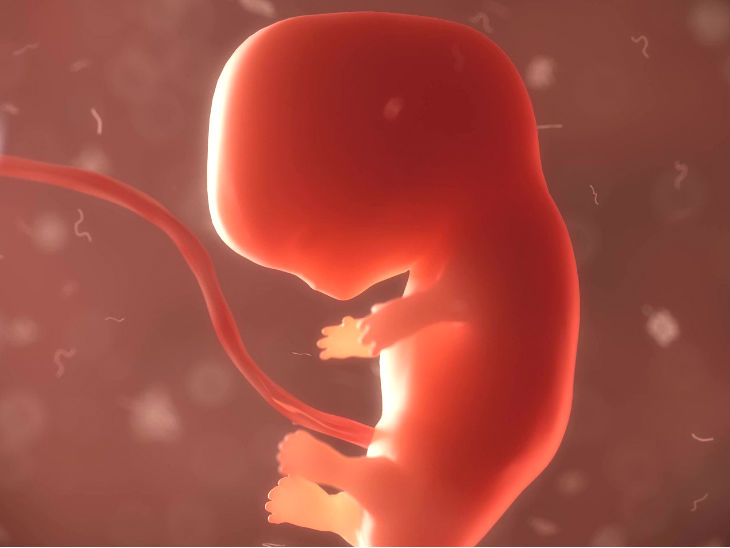 Spanish Scientist claims to have grown the worlds first ever human ...