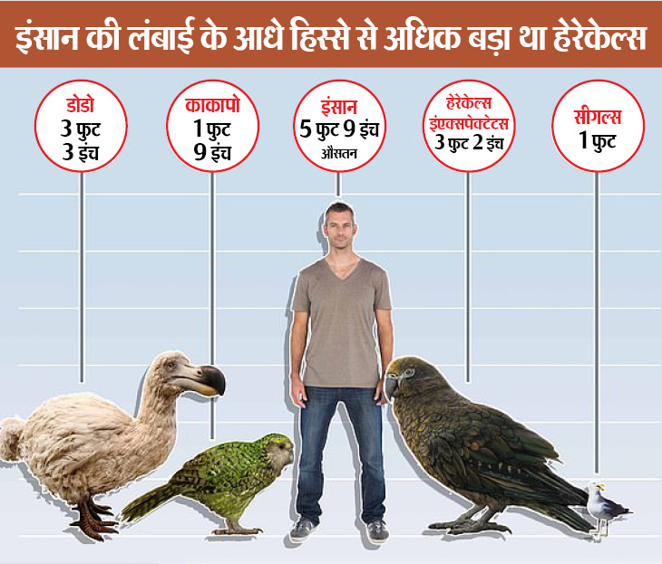 palaeontologist reveals about Squawkzilla the three-foot tall cannibal ...