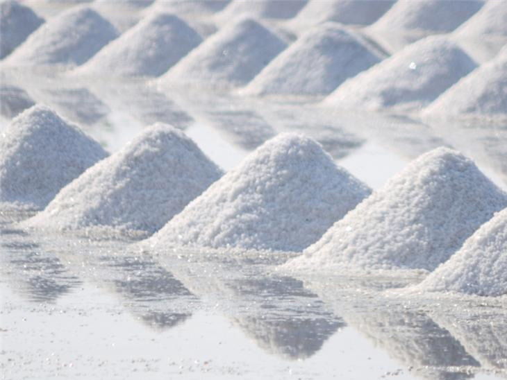 Years later Britain again tasted the salt of Kutch, export started ...