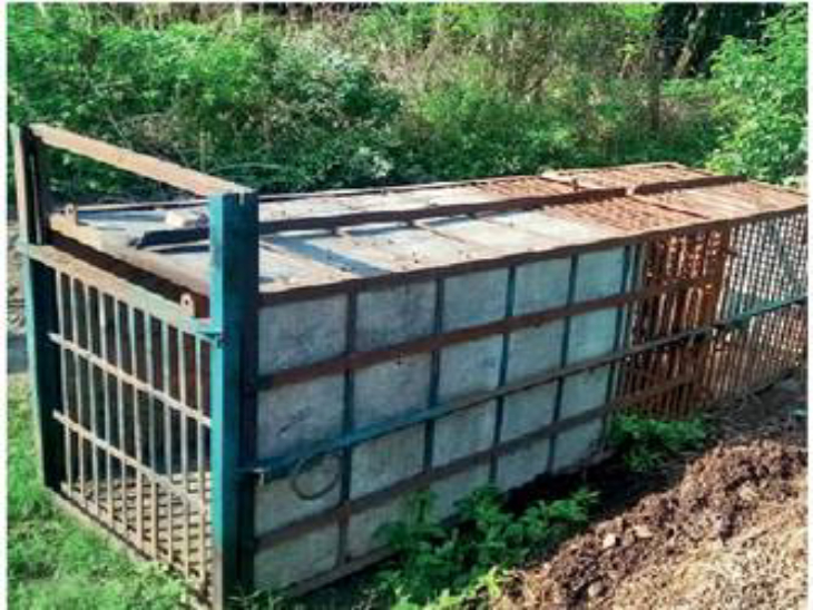 Forgetting forest cage, forest department, farmers are keeping animals ...