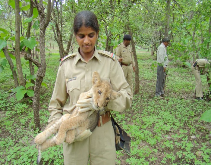 UKSSC invites applications for recruitment of 316 posts of Forest ...