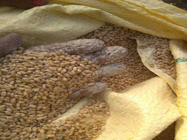 Complaints of unqualified people registered in national food security ...