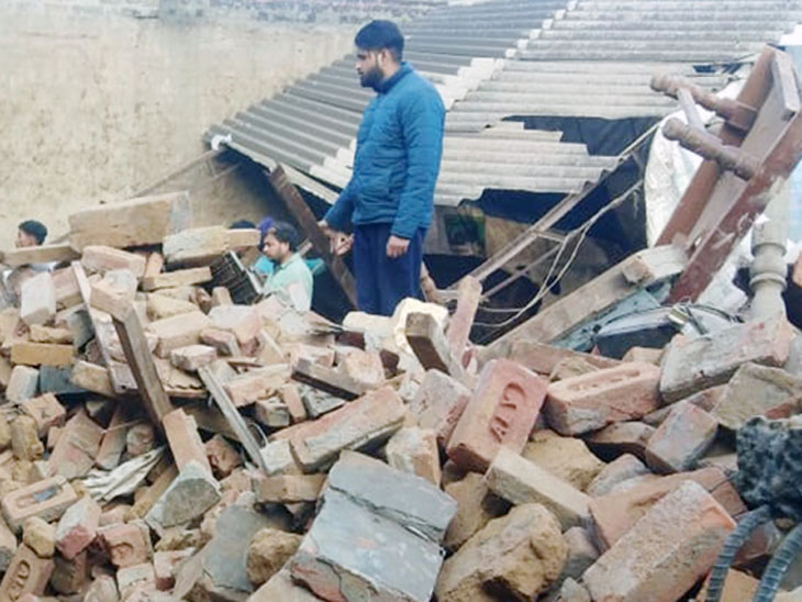Accident in Malerkotla, 34 cattle buried under bricks after damaging of ...