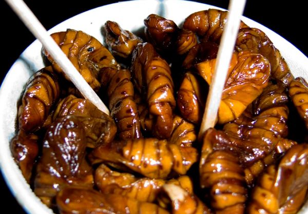 Japan Village Kushihara Hebo Festival (Edible Wasp Festival ...