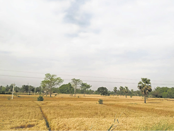 gopalganj bihar weather update Relief from sunshine due to clouds, the ...
