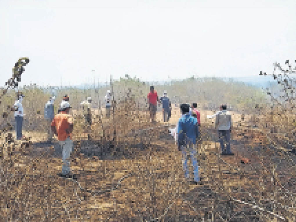 Fire on Ramtek Hill in Hasalpur, Hundreds of plants burnt ...
