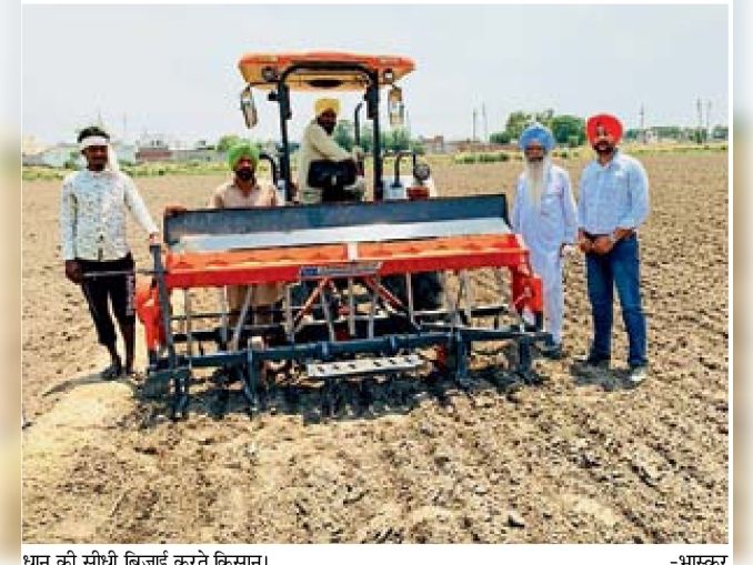 Direct sowing of paddy in the fields will give more profits to farmers ...