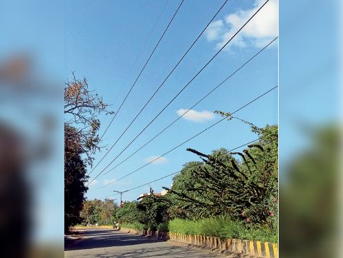High-tension wire just 25 feet above the road, accident prone | हादसे ...