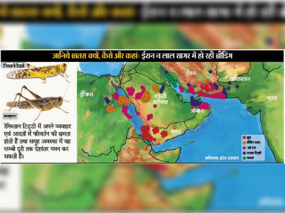 FAO-Center issued advisory, warning of major grasshopper attack from ...