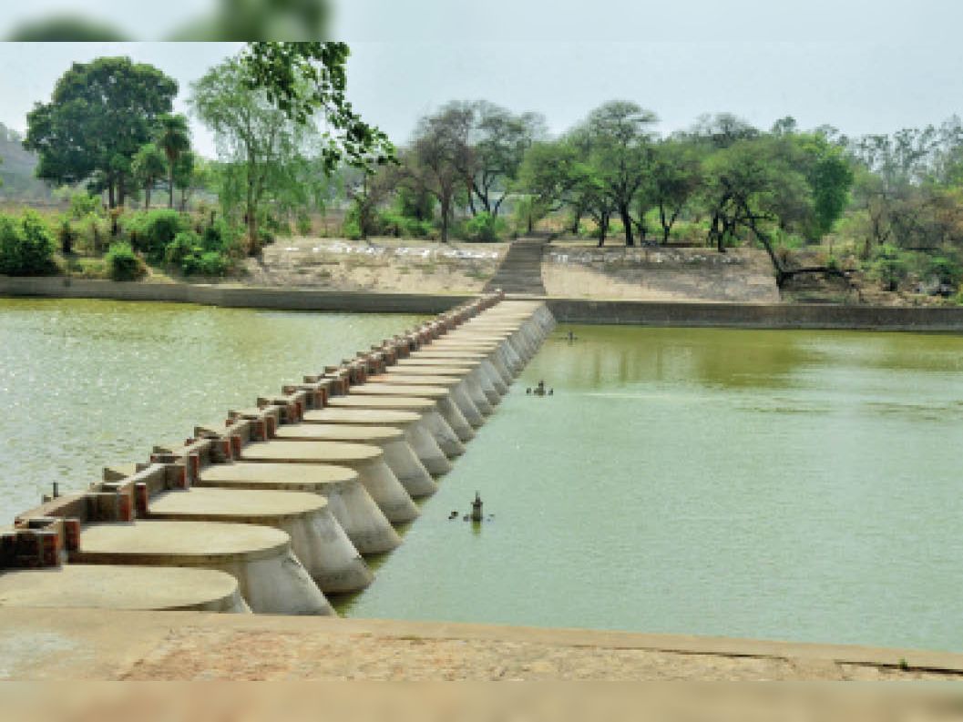 Supply water left for only 7 days, if the halali dam is not left in two ...