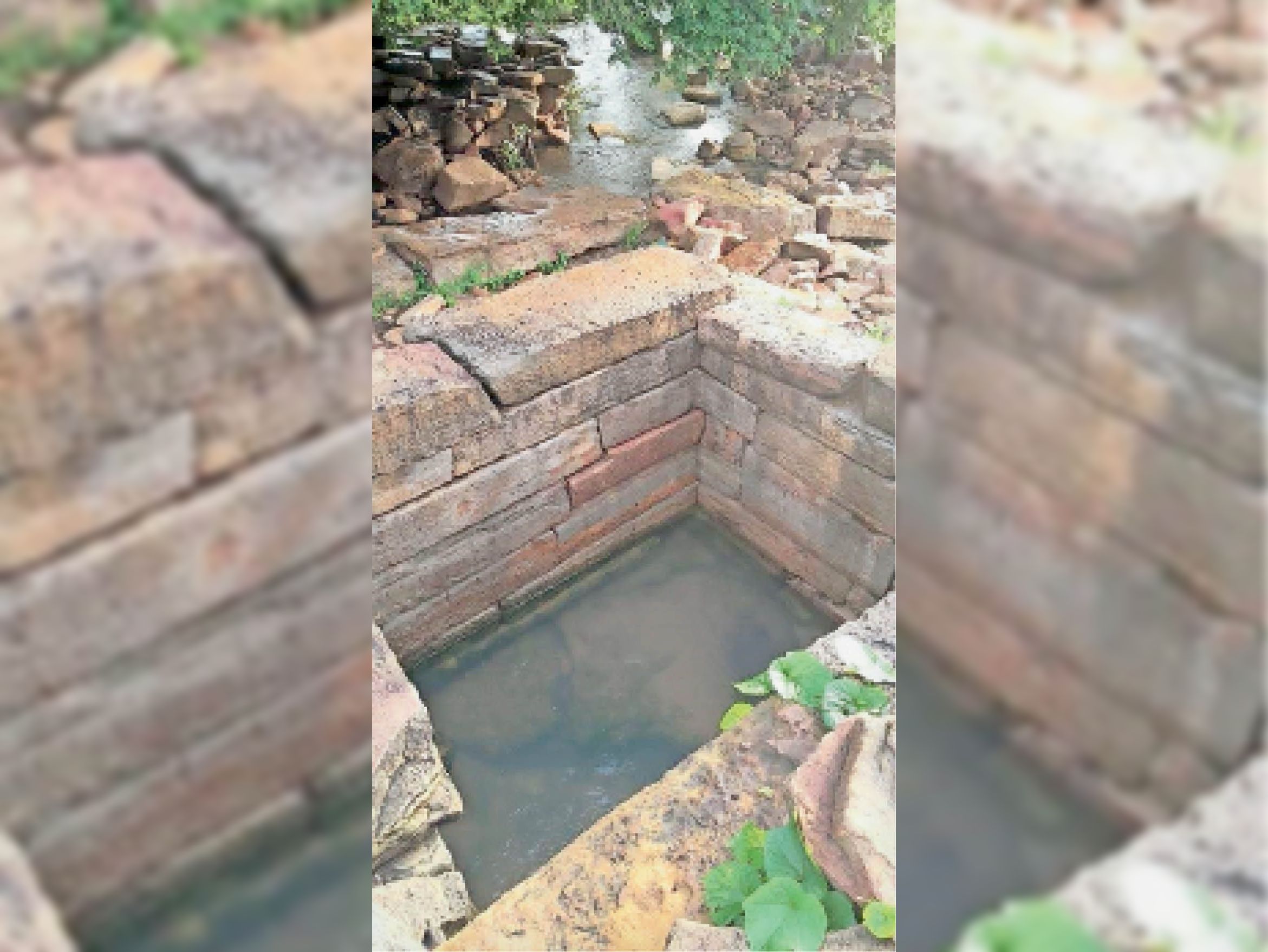 Both of them are 600 years old known as Bawdi, mother-in-law; Mother-in ...