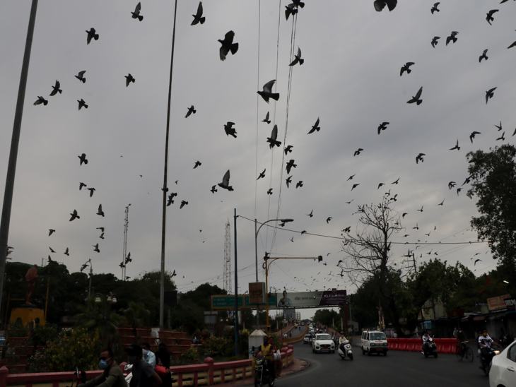 : Indore Weather Today Latest Updates; Thick monsoon clouds can be seen ...