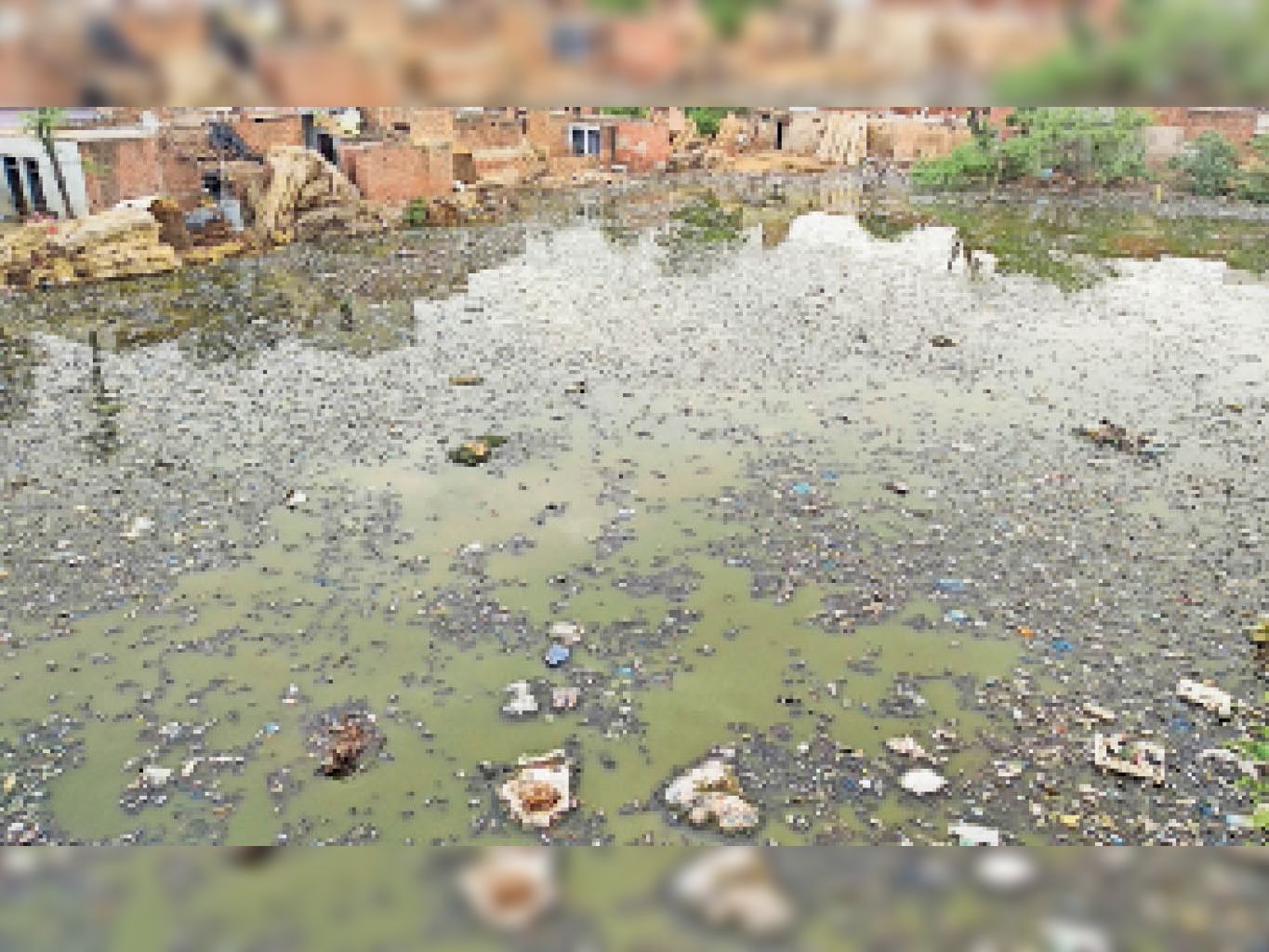 Waterlogging in Ward 12 and 13 of Nadbai for 10 years, no one to listen ...