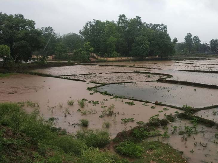 Jharkhand Monsoon Rains News | Jharkhand Weather Forecast Today Updates ...